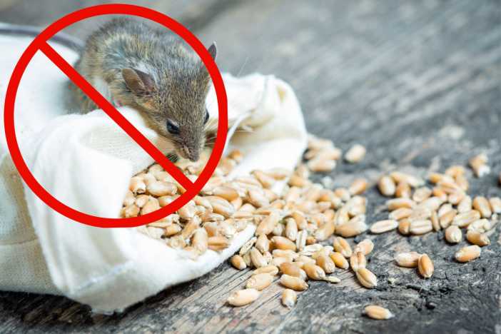 How to protect grain | Agrimatco