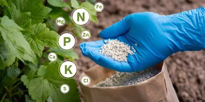 Types of fertilizers: table, classification, their importance and use ...