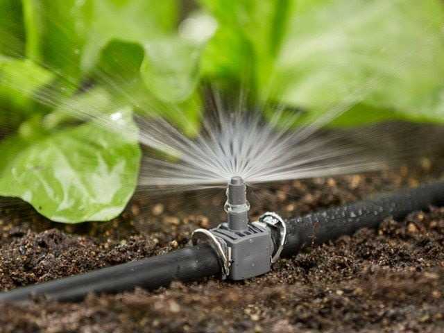 Preparing for winter storage of drip irrigation systems: step-by-step ...