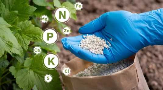 Comparative characteristics and main features of different types of ...